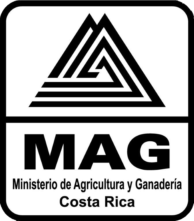 Gestión de Planificación y Seguimiento